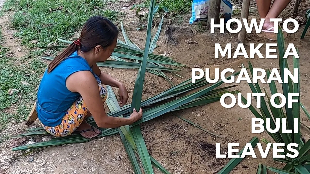 How to make a Pugaran out of Buli Leaves - Cebu Live